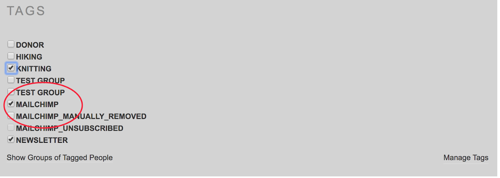 How to synchronize with the MailChimp button? – HELPFUL VILLAGE