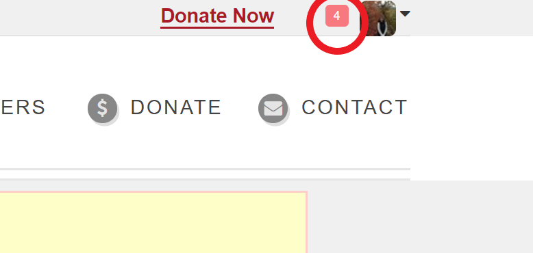 How does a member look at their Village Talk notifications on the ...